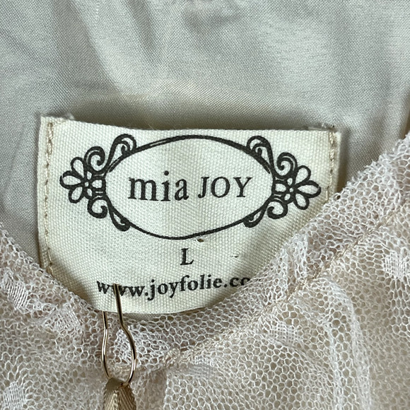 Mia Joy | Dresses | Mia Joy Lauryn Dress Womens Large Pink Ruffle Sheer Fairy Whimsy Romantic ...